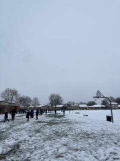 Collins Elementary / Homepage